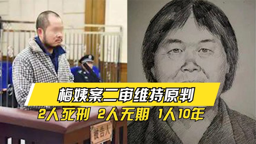 梅姨案主犯二审维持死刑判决,两年拐走9名男童,最小的年仅1岁