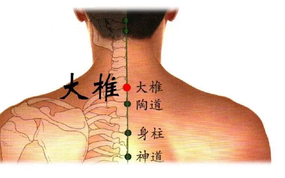 大椎是第七颈椎还是第一胸椎?
