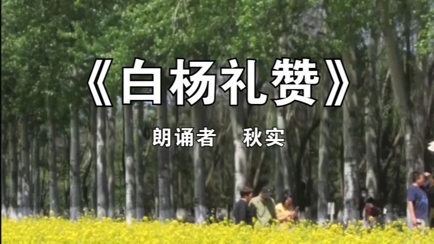 诵读散文《白杨礼赞》