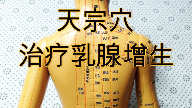 每天按揉天宗穴 可有效缓解乳腺增生 消除肿块