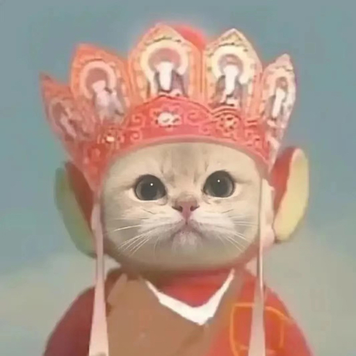 大嗷鸽嘟嘟噜 