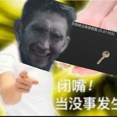 XD233LO 