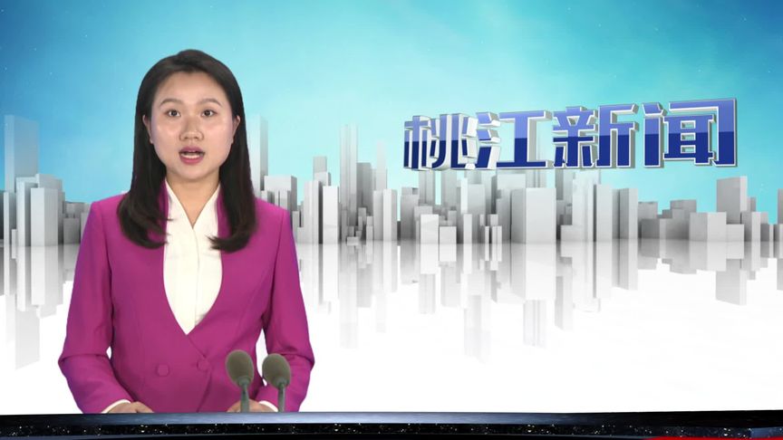 桃江举行第31个全国助残日主题活动
