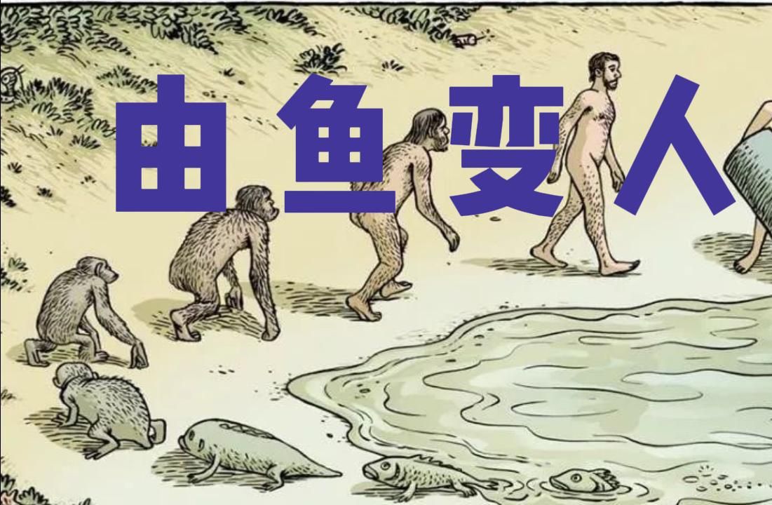 泥盆纪:鱼类时代|原始森林形成|两栖动物出现|地球简史系列12|海民大叔