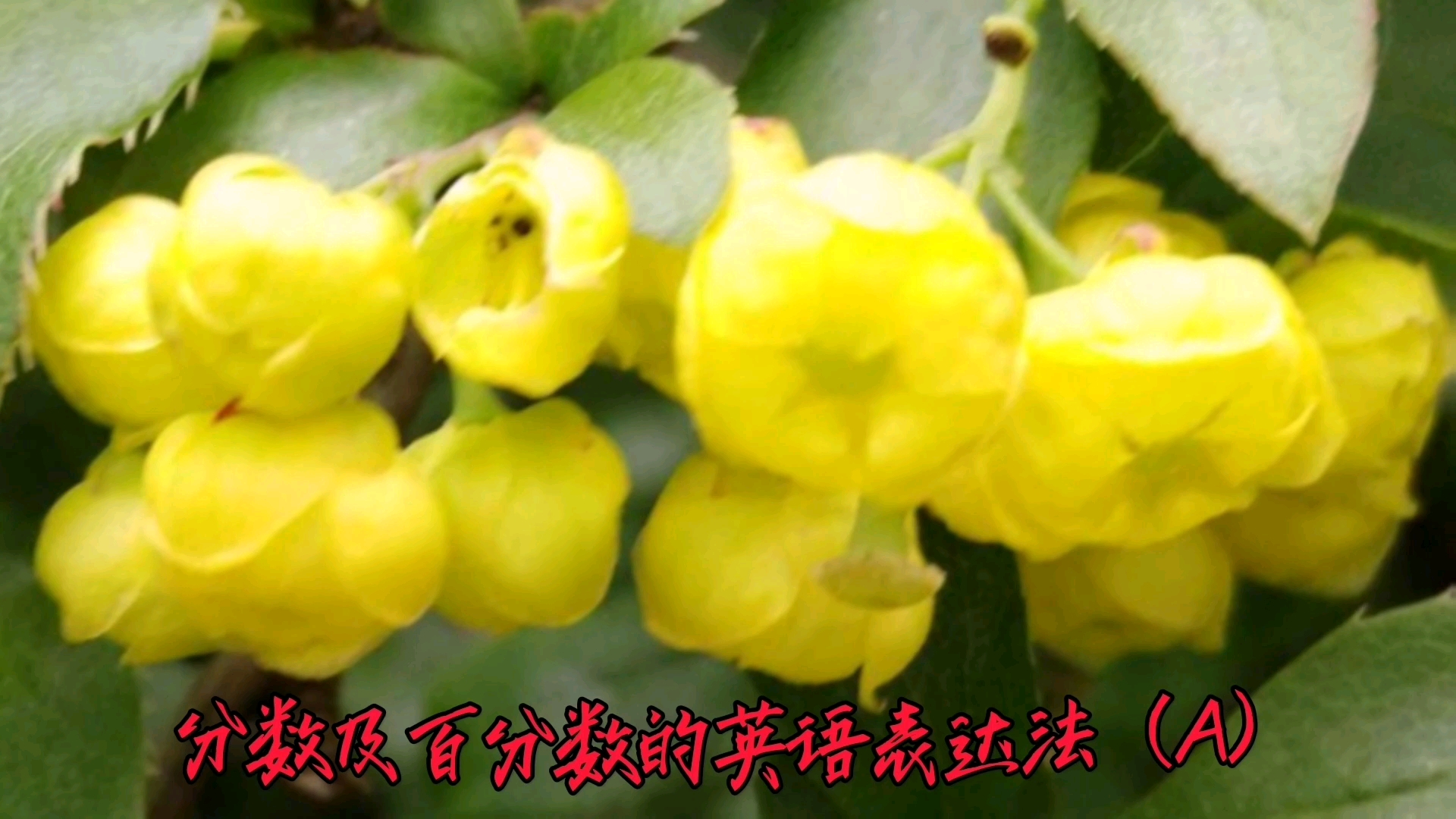 分数及百分数的英语表达法(A)