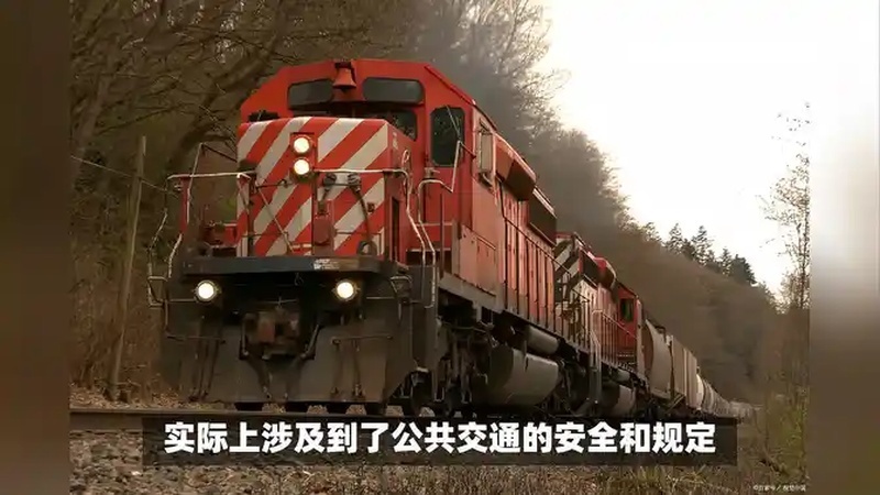 仓鼠可以带上火车吗