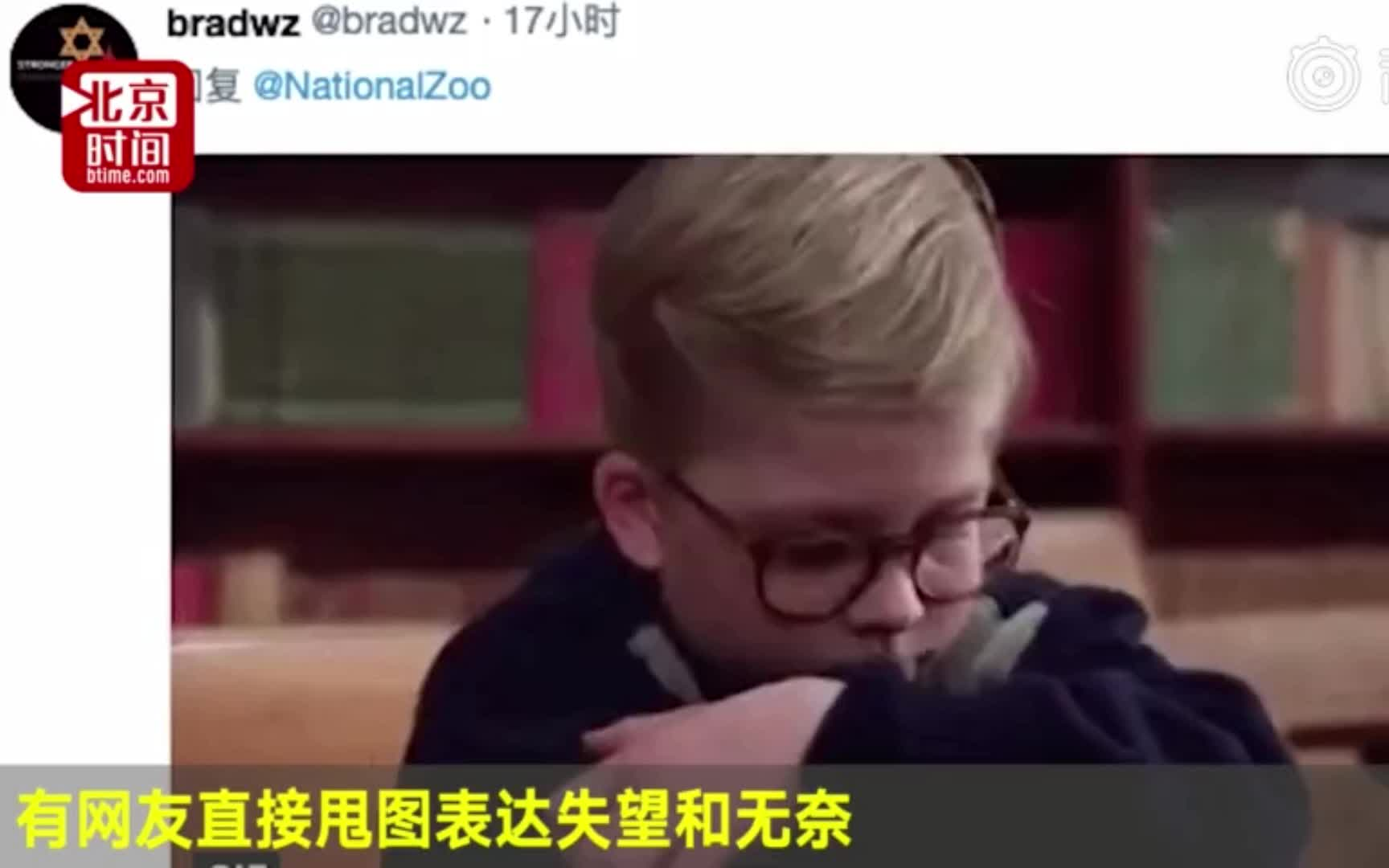 美国政府停摆殃及国家动物园熊猫直播被迫中断, 粉丝很生气!