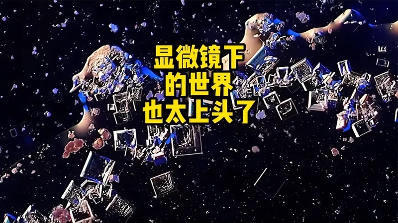 显微镜下的世界 微距镜头下的世界 内容过于真实 原创视频