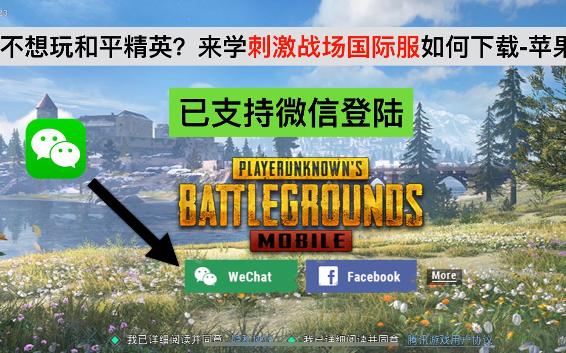 不想玩和平精英?刺激战场国际服正版下载安装教程 已支持微信登陆 ...