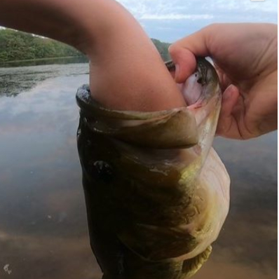 peterfishing 