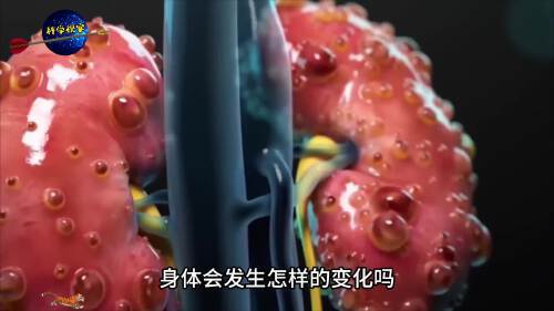 长期不吃早餐会怎样? 科学视宴