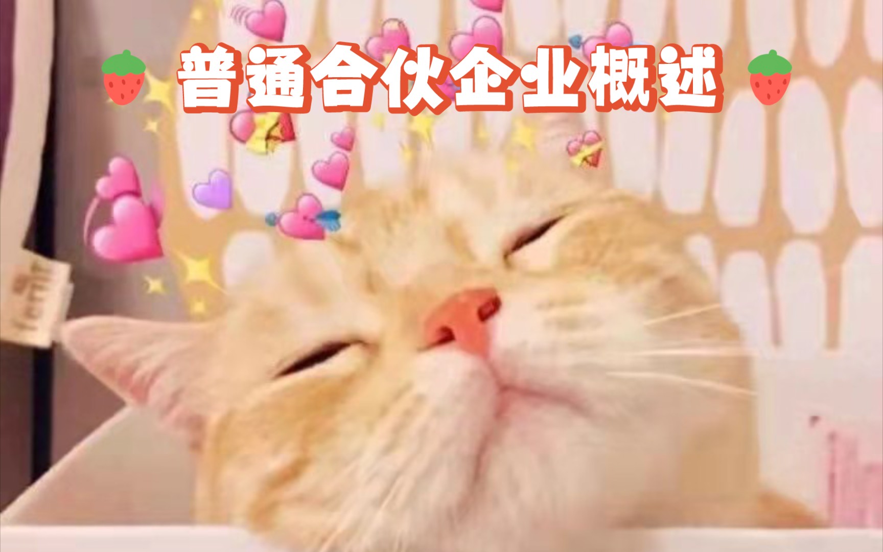 普通合伙企业概述~ 经济法倒计时啦!祝大家情人节快乐!有对象的长长...