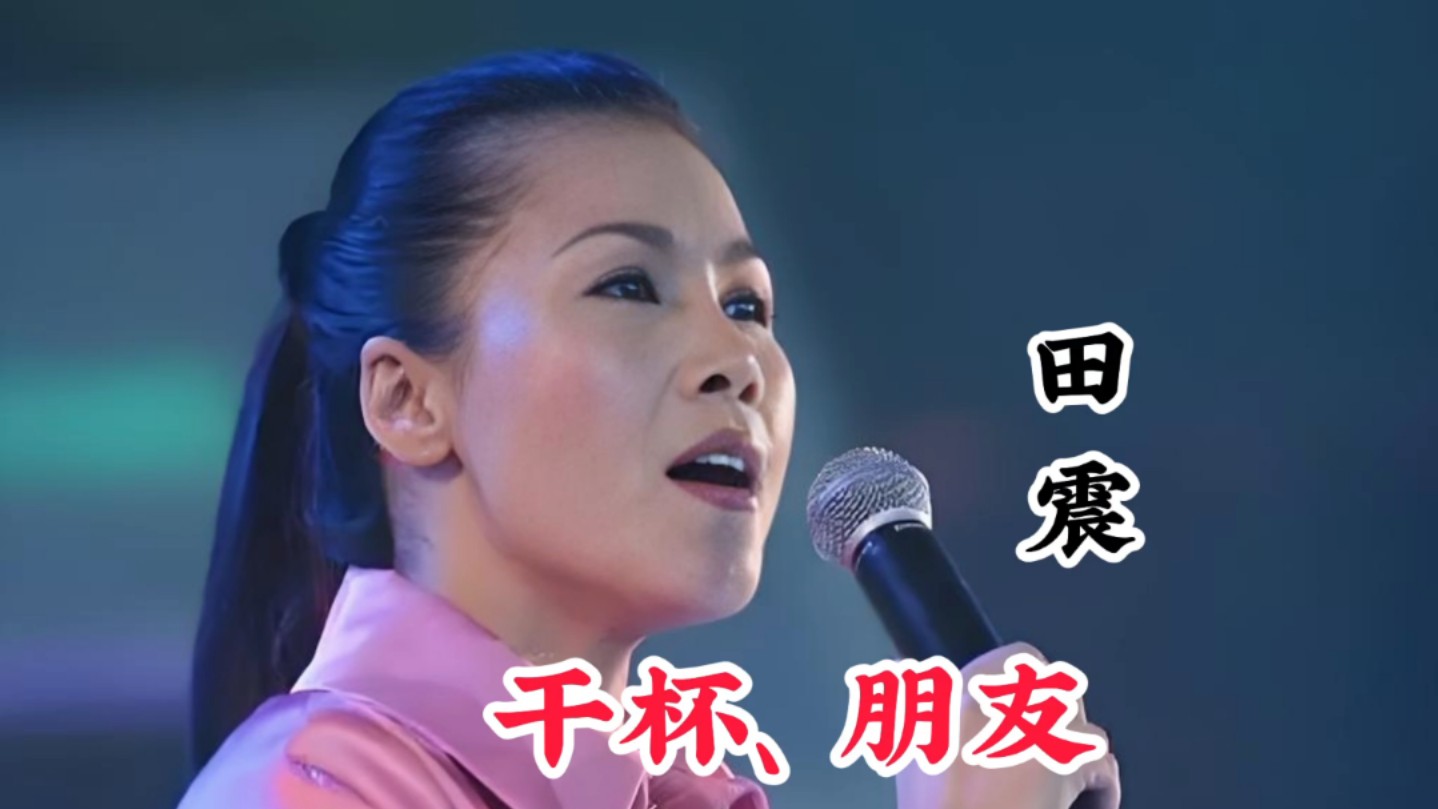 经典老歌《干杯朋友》田震原唱
