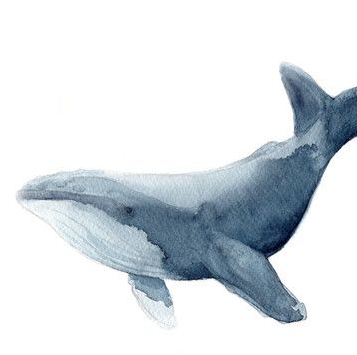 烟雨城南未有时 