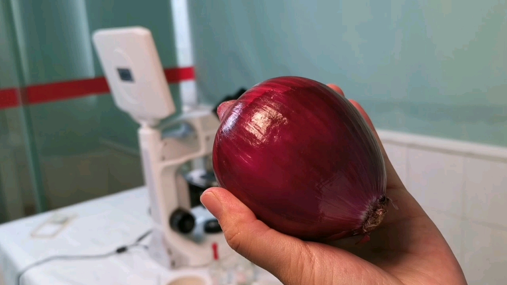 质壁分离与复原