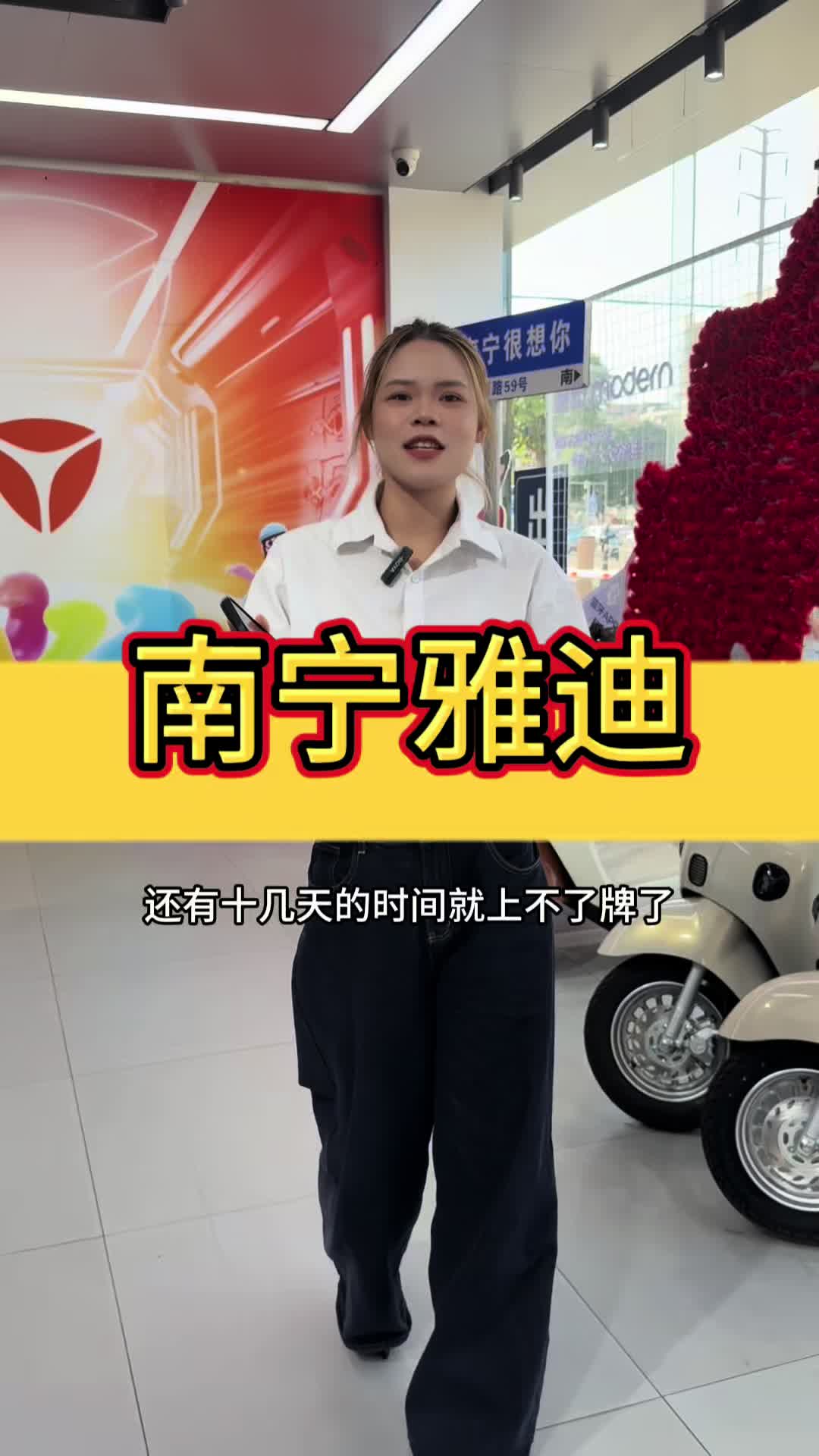 上牌进入倒计时咯,还没入手、上牌的抓紧时间 #南宁雅迪 #新国标电动车