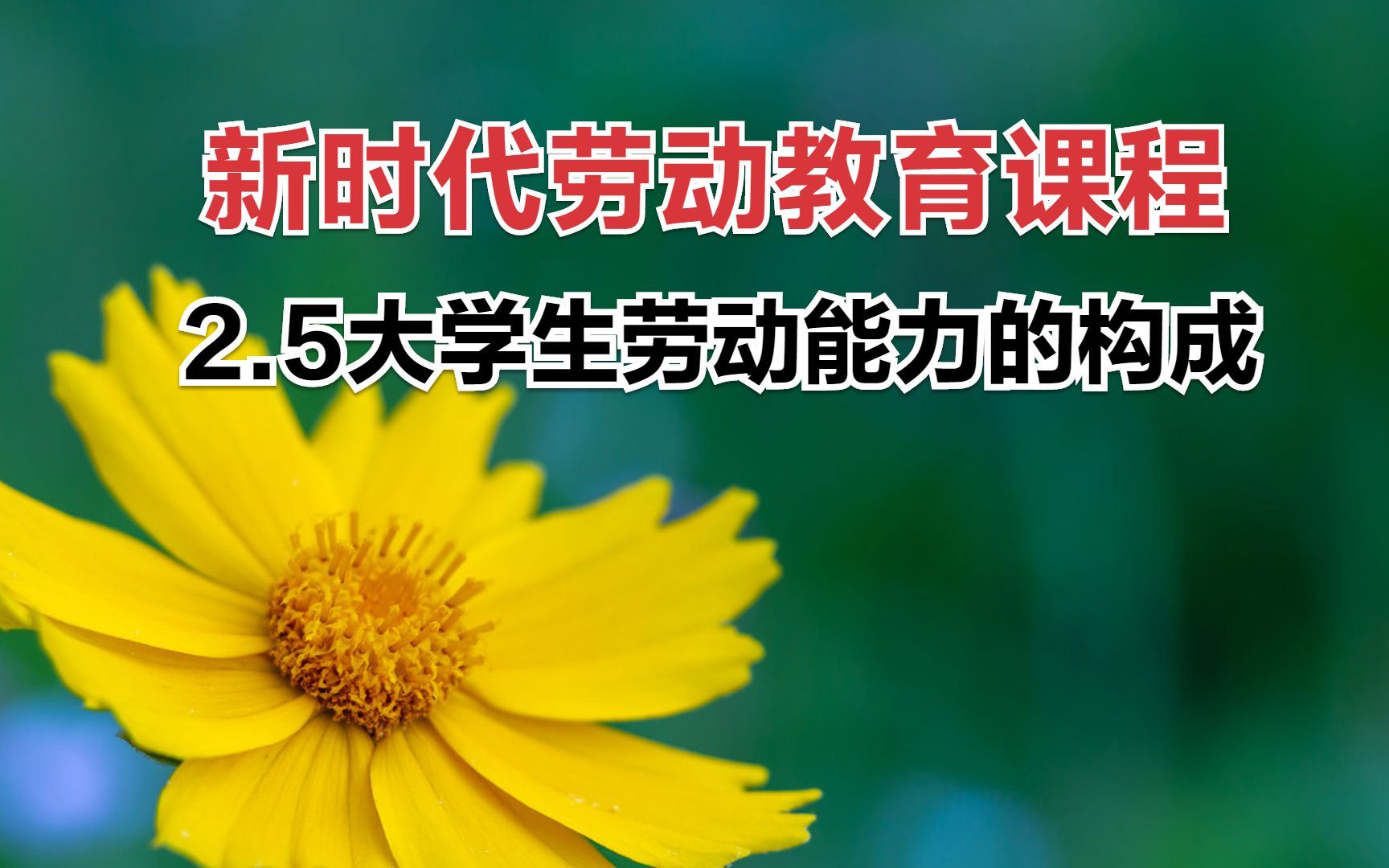 2.5大学生劳动能力的构成 新时代劳动教育课程