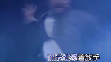 爱过流星—霍建华