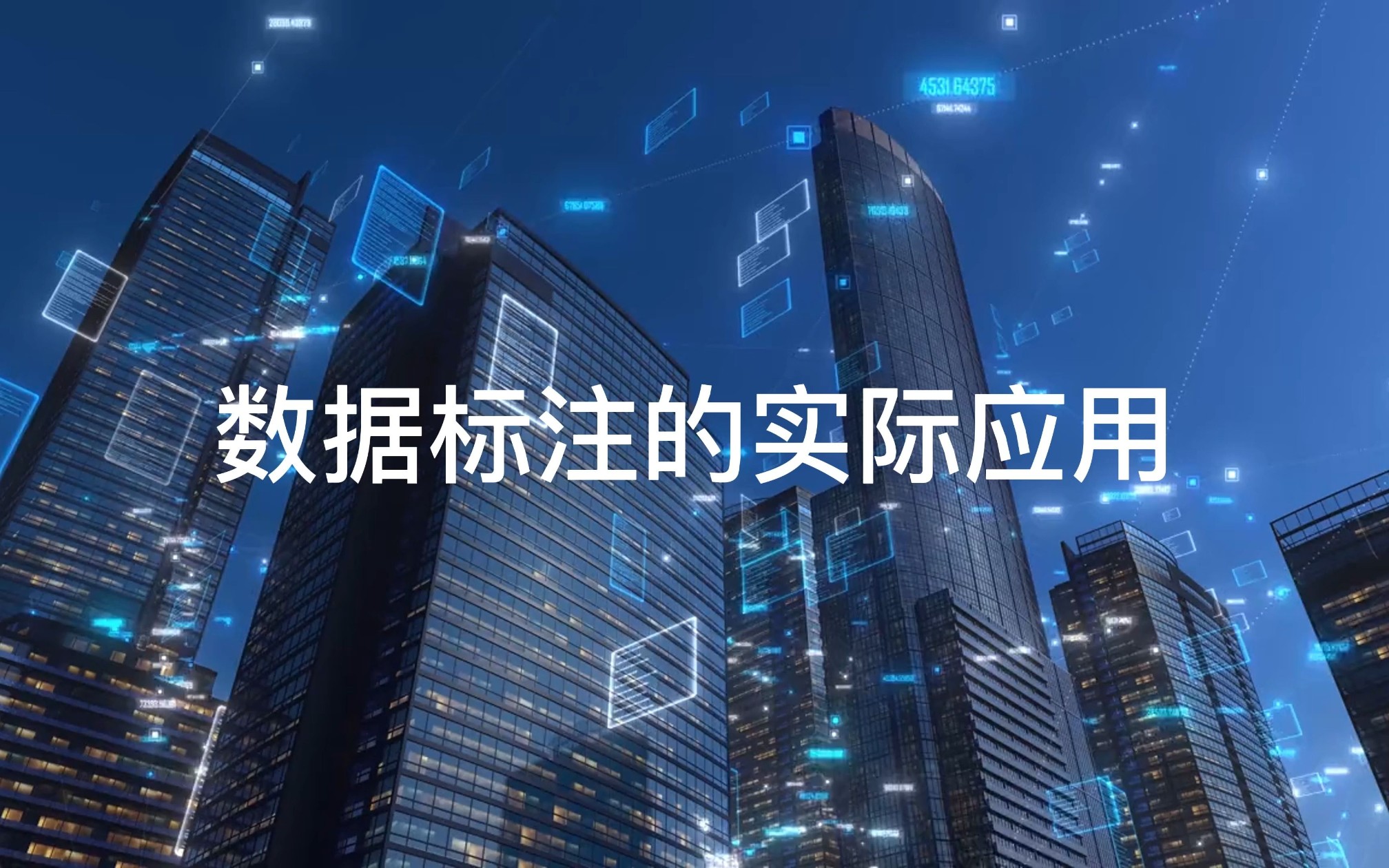 数据标注的实际应用