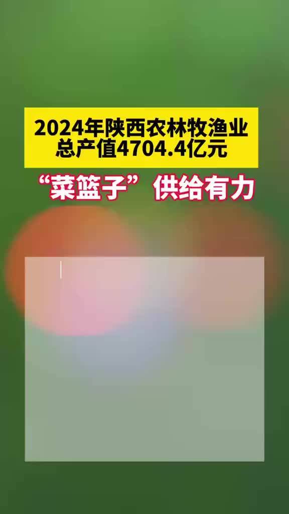 再获丰收,2024年陕西农林牧渔业总产值4704.4亿元。
