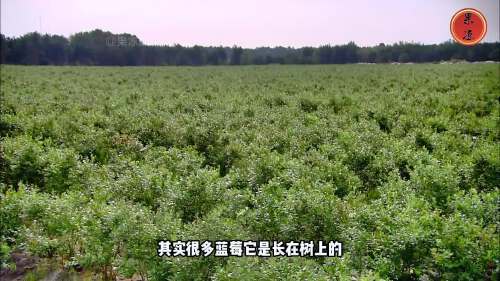 平时用眼多的小伙伴