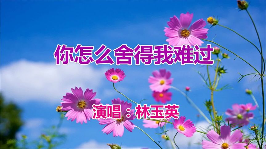 一首怀旧情歌《你怎么舍得我难过》