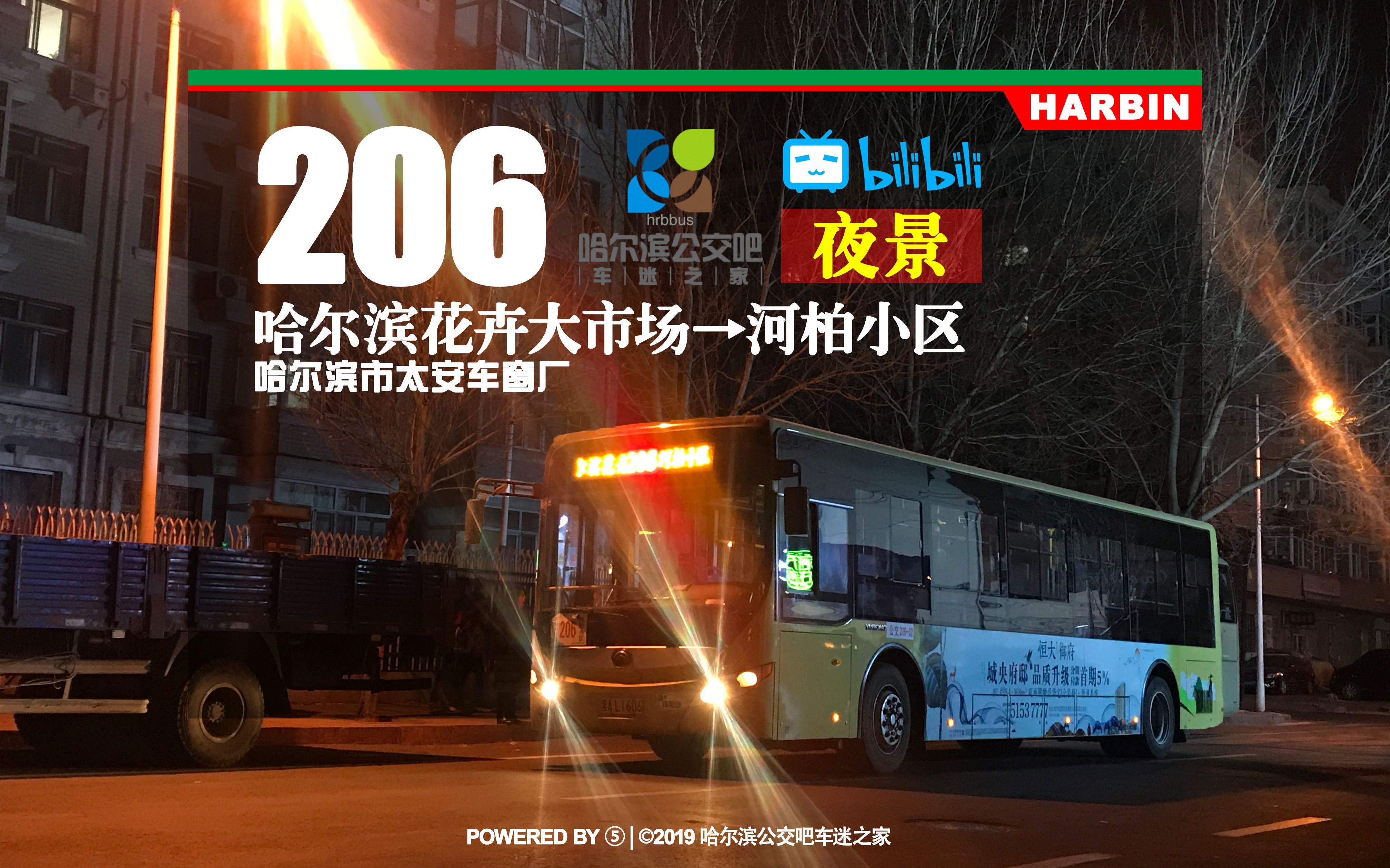 【冰城夏都HD#153】哈尔滨公交206路(夜景)POV(哈尔滨花卉大市场...