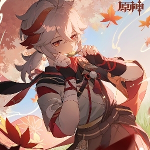 霜叶如火2024 