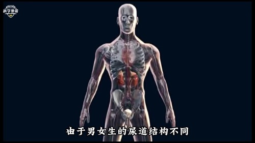 原来女生会偷偷站着尿尿
