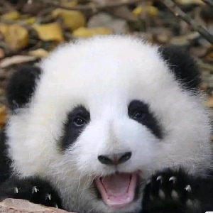 天神串门中 