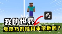 我的世界:滞留型缓降药剂能用来落地,末影龙能免疫隐形药剂?
