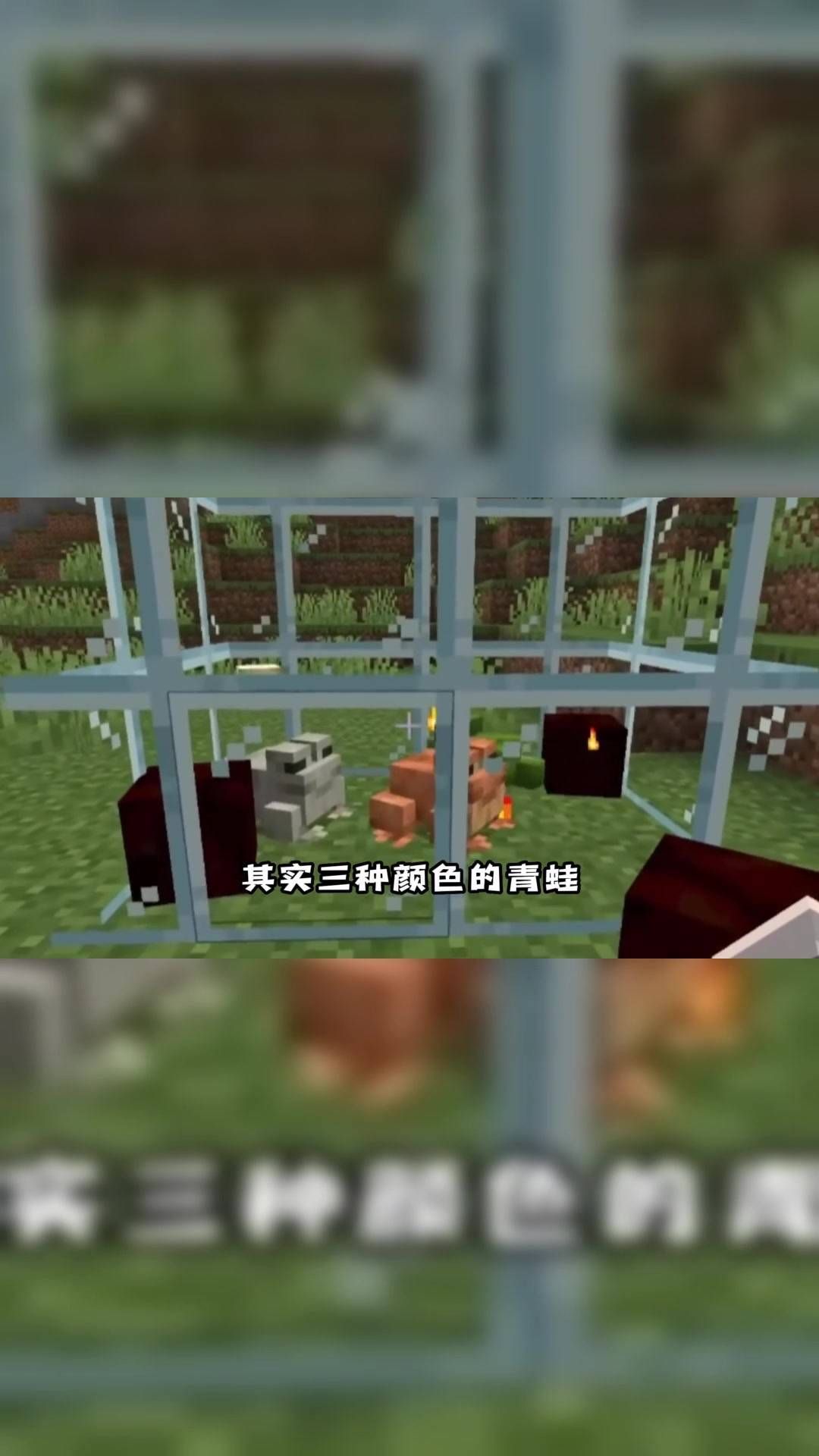 这就是6个MC的秘密!