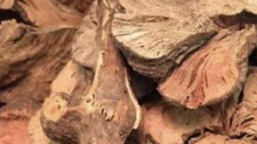 带你认识100种,农村药用植物(4)金荞麦