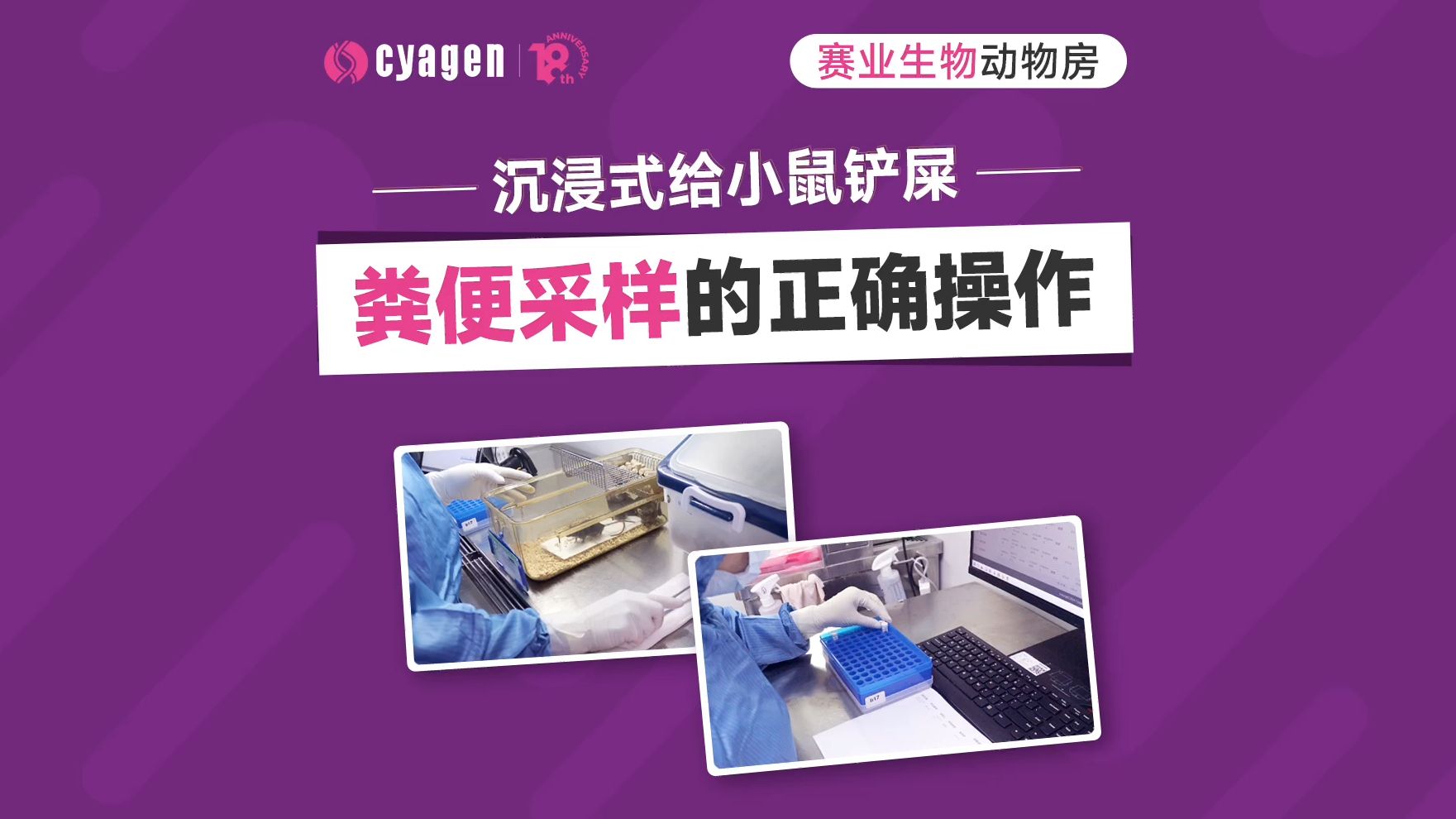 粪便采样——专业铲屎官一定要熟练掌握的小鼠健康检测操作