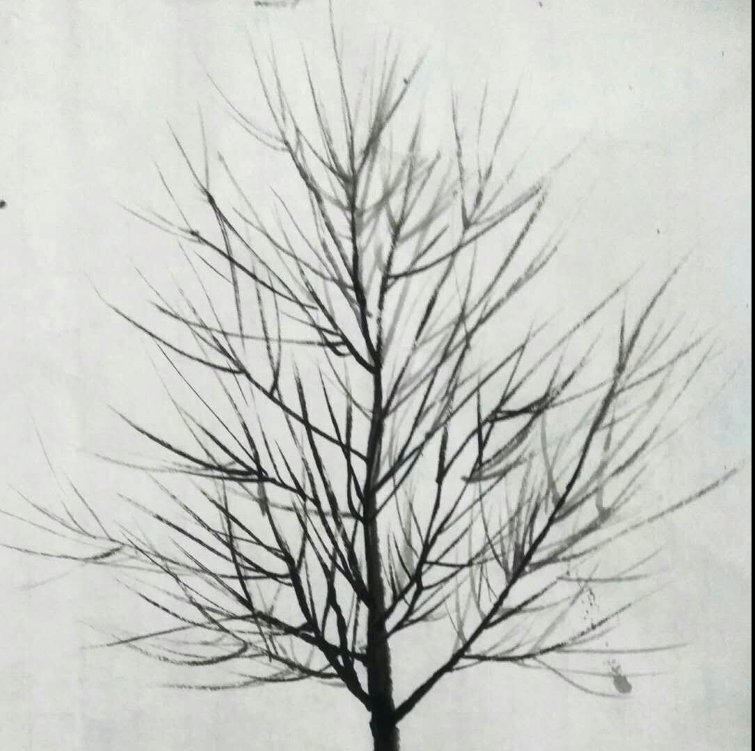 轻松学画 