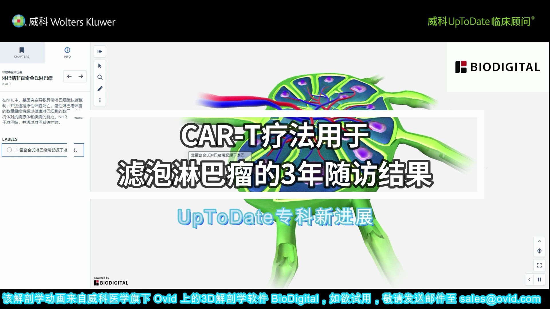 血液学新进展|CAR-T疗法用于滤泡淋巴瘤的3年随访结果