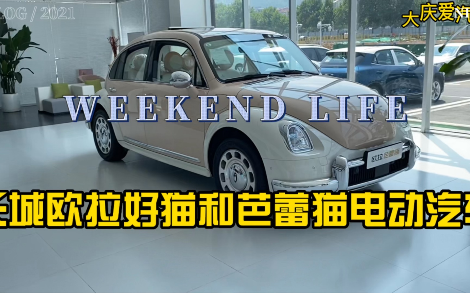听说最近小姐姐们的最爱!长城欧拉好猫!15万的电动汽车