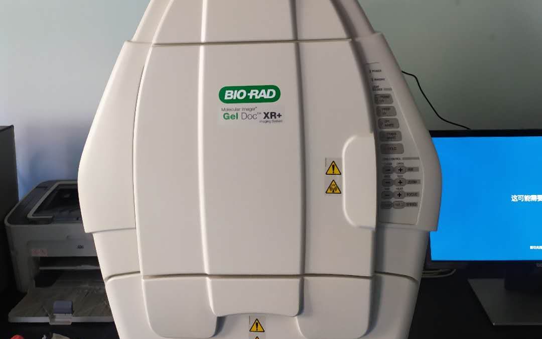 【实验室经验分享】Bio-Rad Gel Doc XR+仪器校准和拍照使用