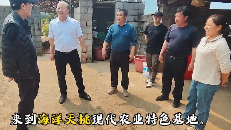 文化活动?23丨文化振兴乡村调研活动童画剪映10