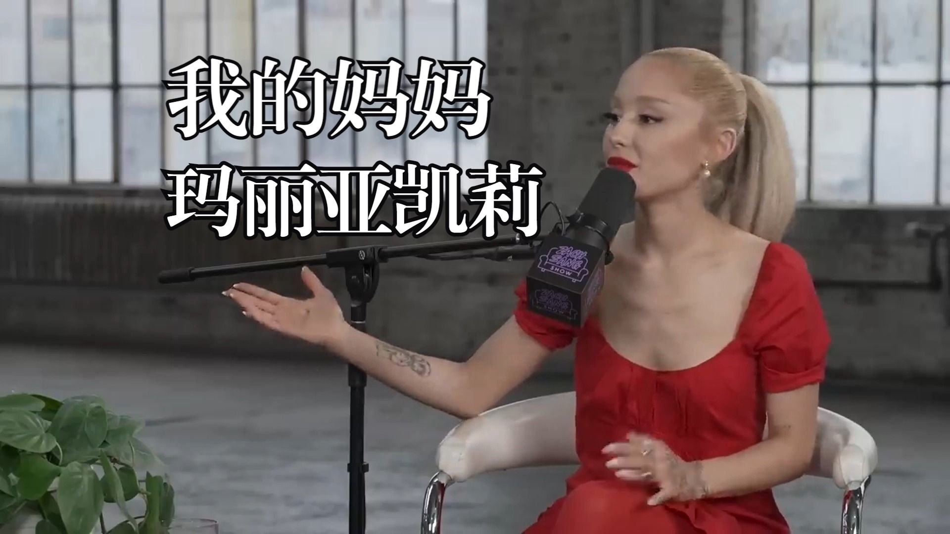 ...玛丽亚凯莉|爱莉杏菜|Yes And|偶像|母女情深|天后|创作名人堂|海豚音