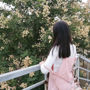 吱吱之芝 