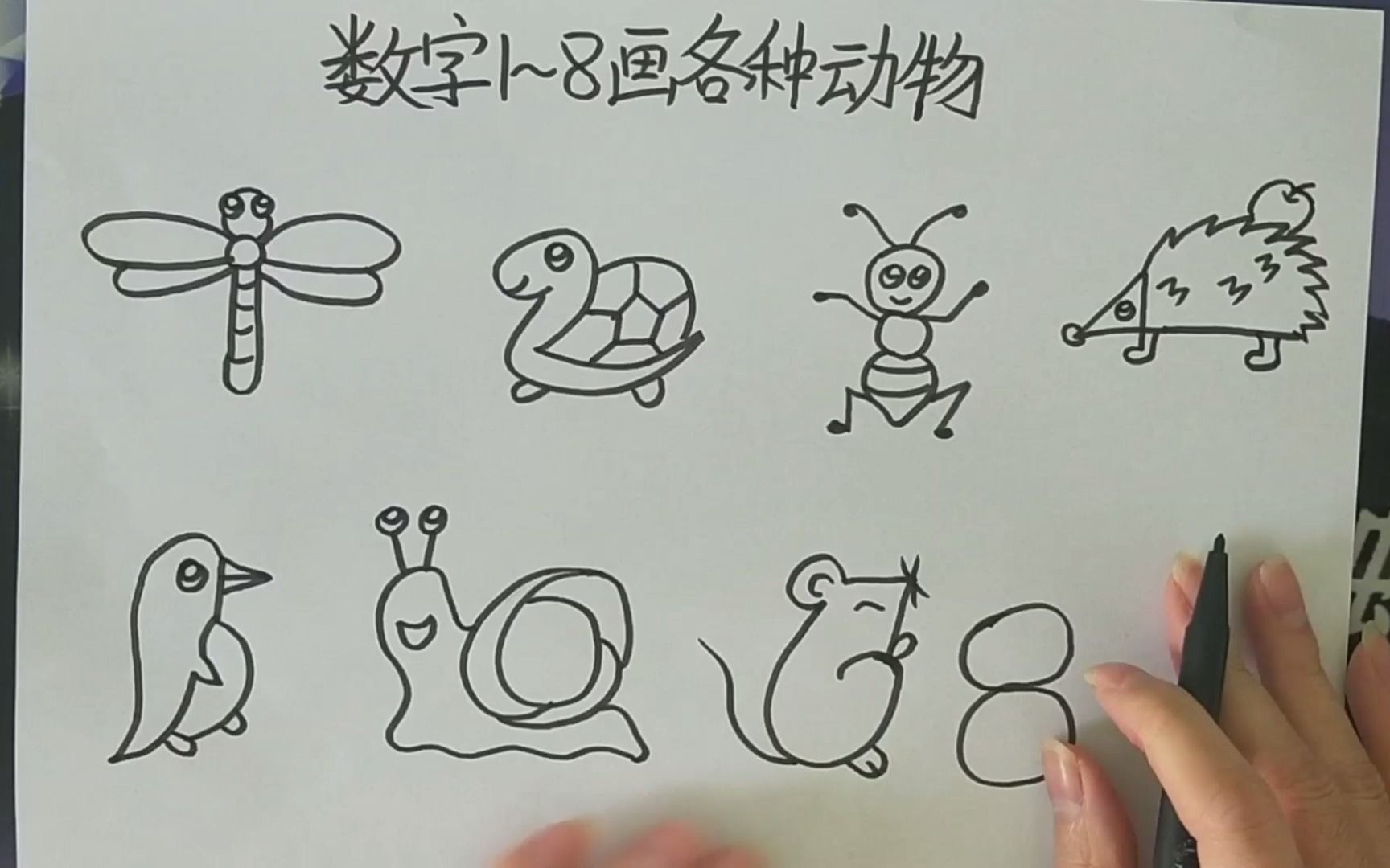 创意美术,用数字1到8画各种小动物!