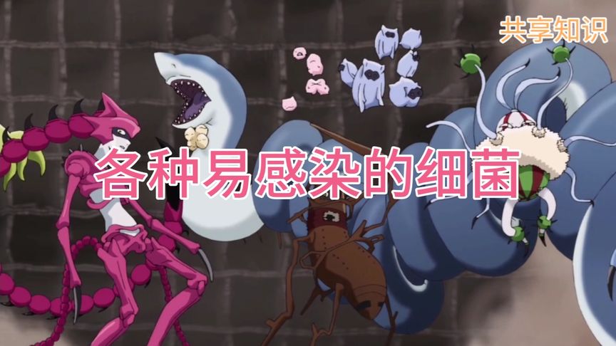 用动画的方式介绍人体中细胞的工作方式12 擦伤后易感染的细菌