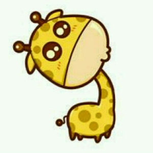 小朱配齐_高标准 