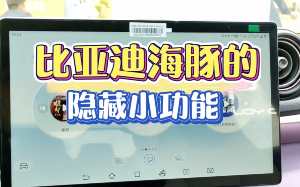 比亚迪小海豚的隐藏小功能,关键时候记得用上哦#比亚迪