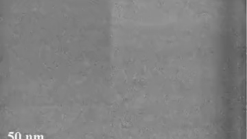 利用实时透射电镜观察电子束对多孔 Co-TMH 结构的形成是否有影响。