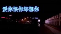 《爱你恨你却想你》