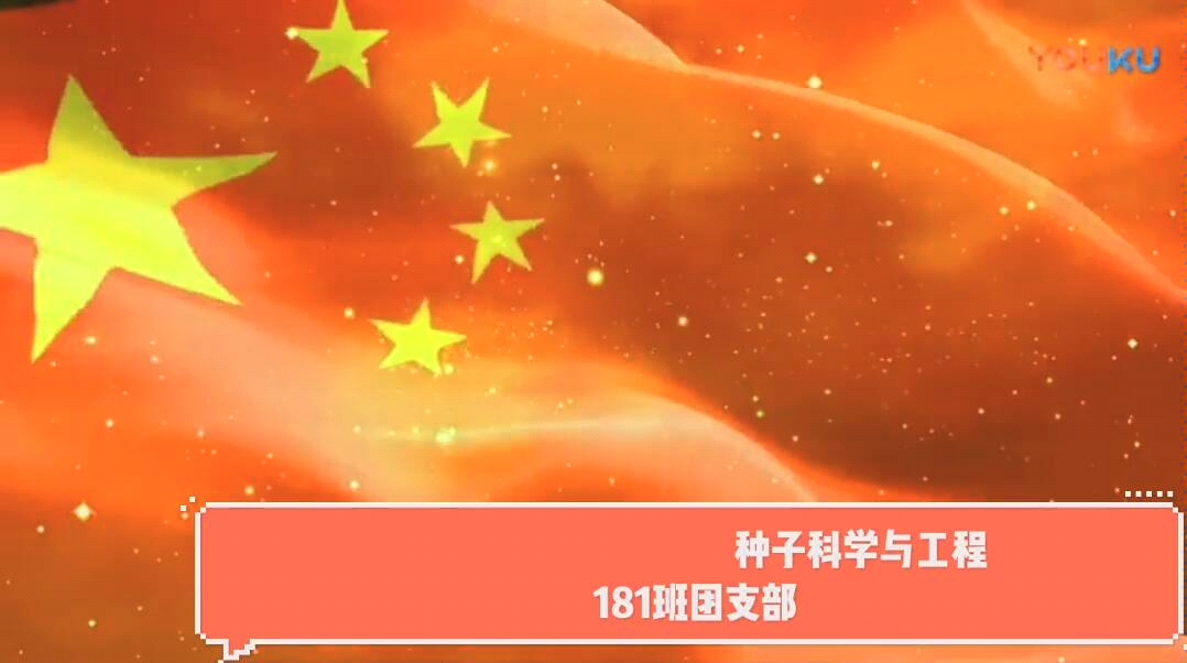 记录种科181团日活动的团支部风采