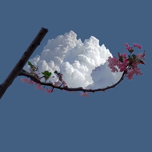 發如虎尾 