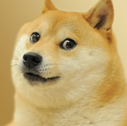 哈洛特 